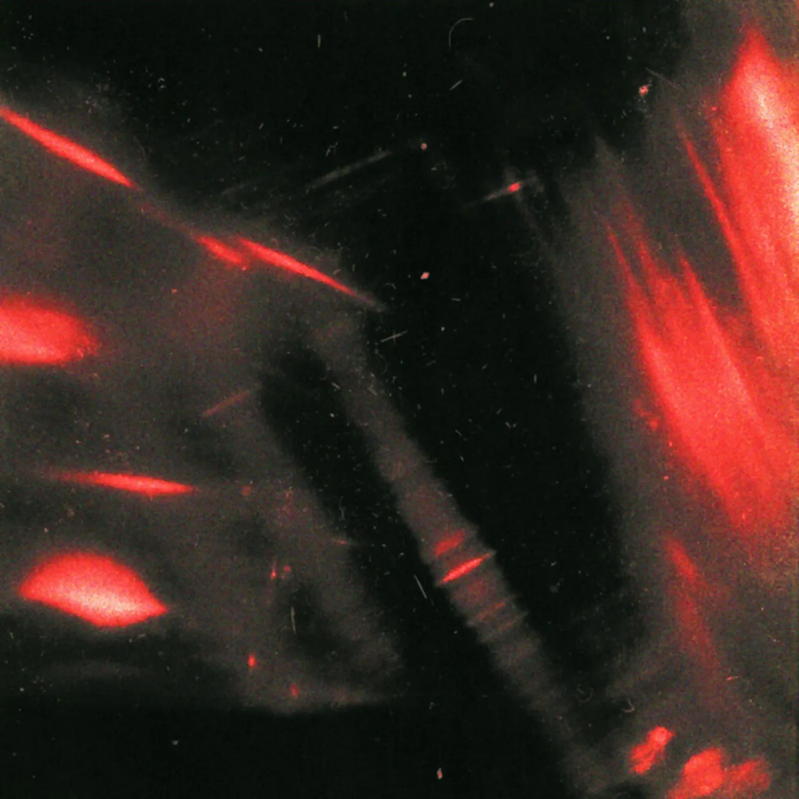 6 Songs You Need to Know: Joji, Robyn, HEY JUNE!, More